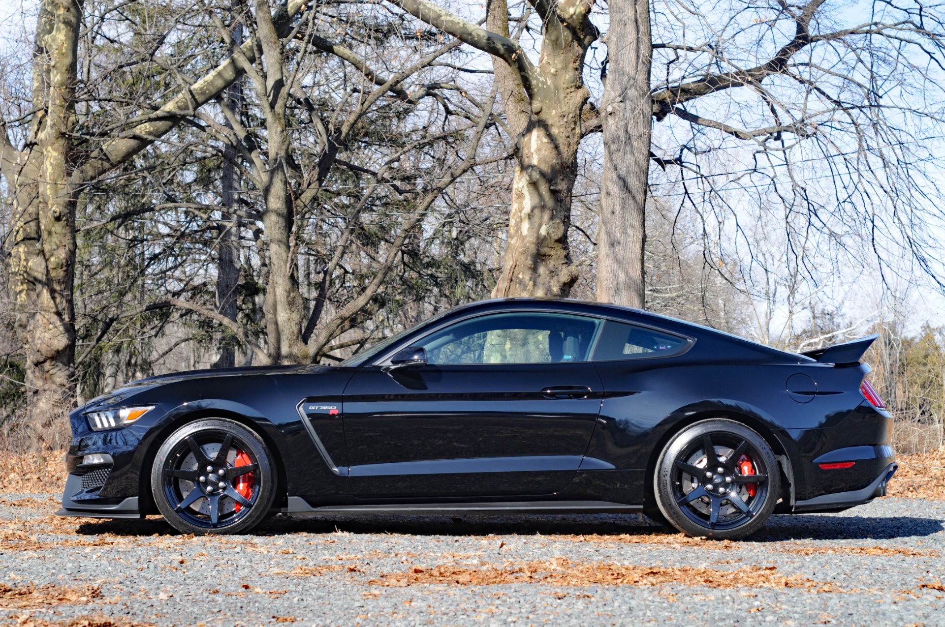 2017 Ford Shelby GT350R Shelby GT350R Stock # 2388 for sale near ...