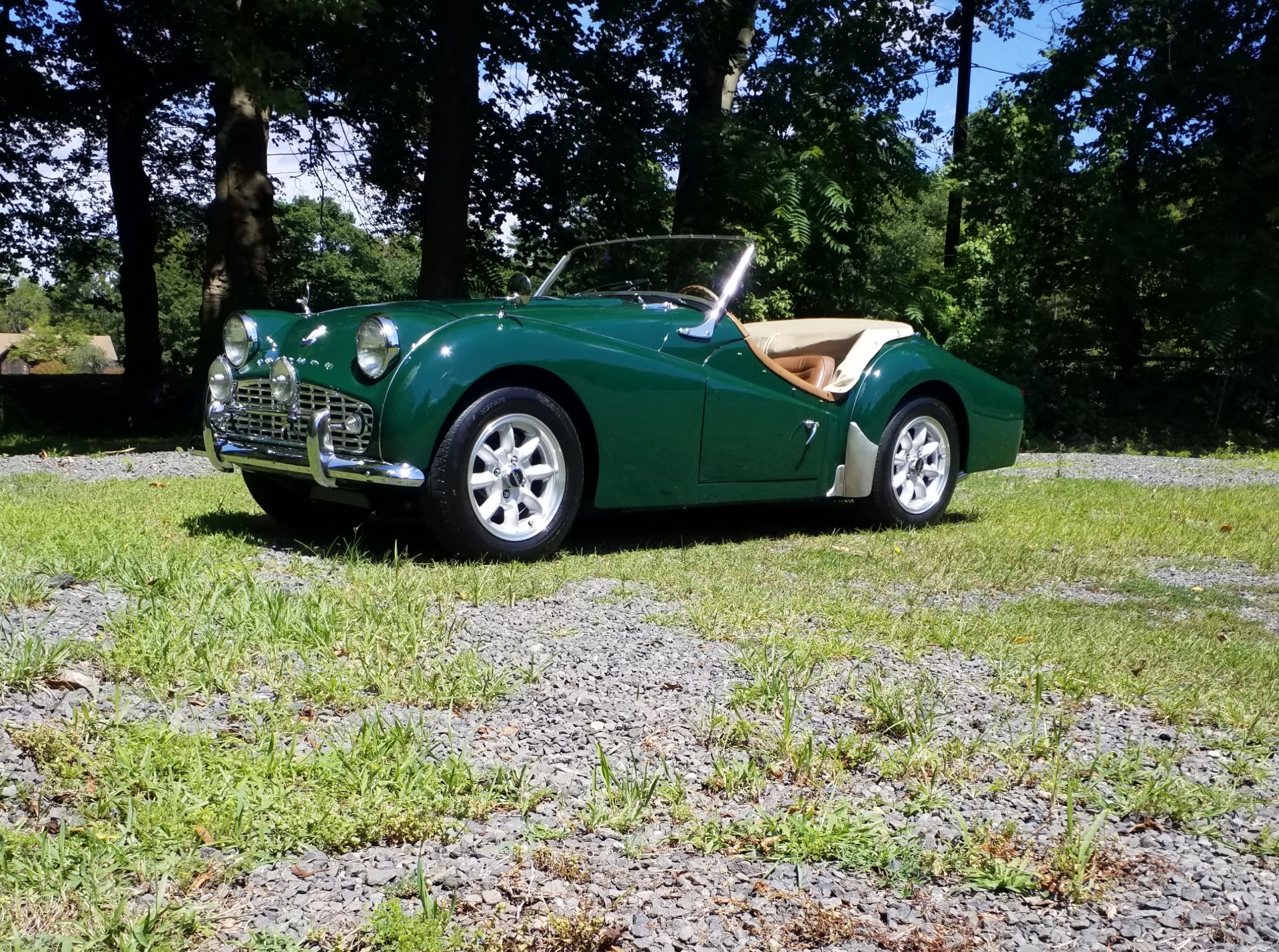 Used 1959 Triumph TR 3 For Sale (Sold) | Robb Francis Sport Cars Stock ...