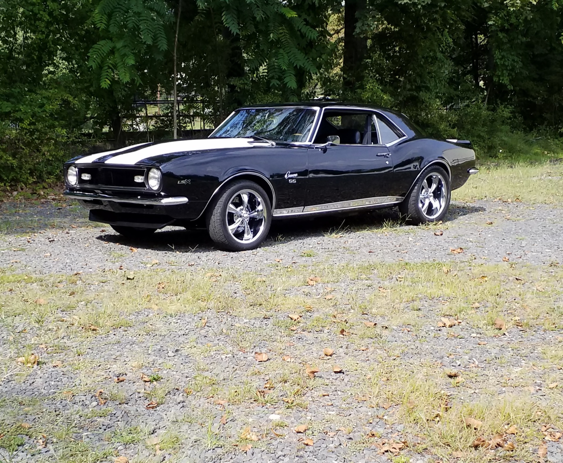 Robb Francis Sports Cars