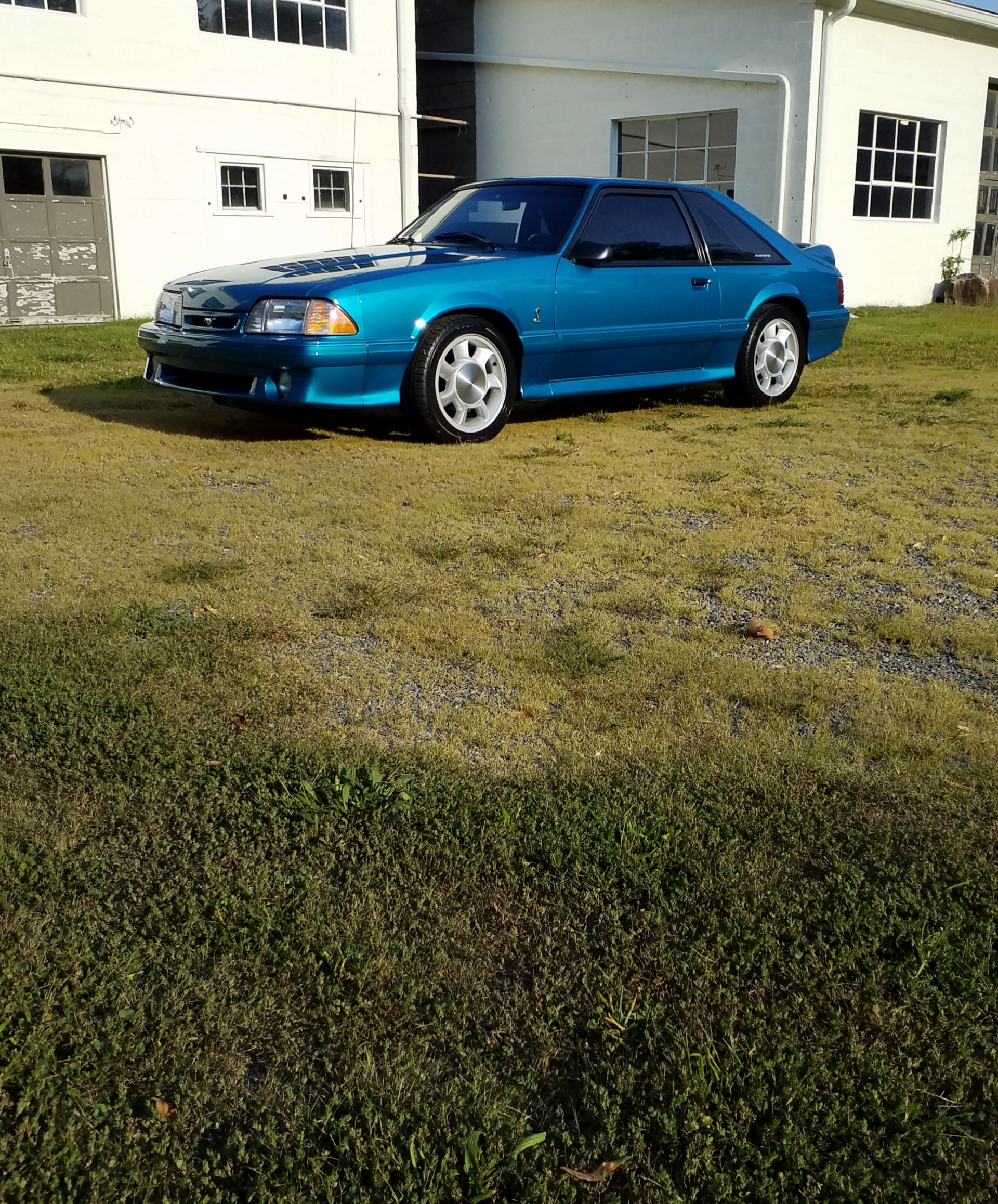 Used 1993 FORD MUSTANG SVT COBRA For Sale (Sold) | Robb Francis Sport ...